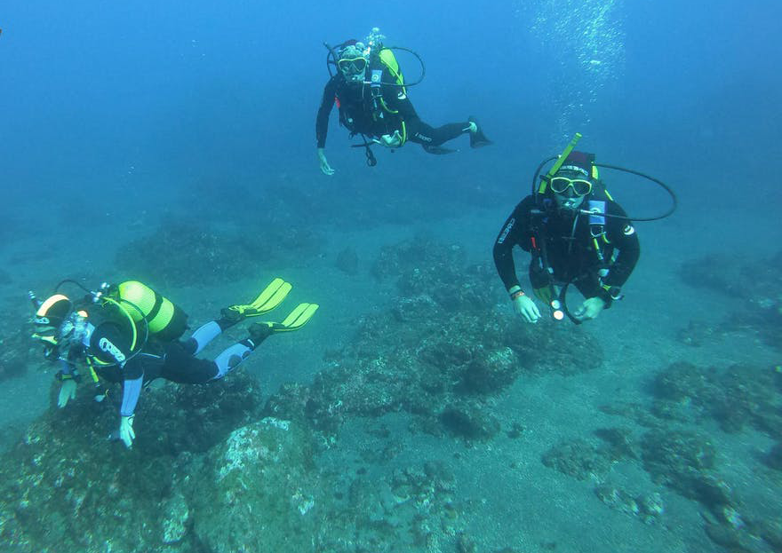 Azores Sub Dive Center | Scuba Diving in São Miguel Portugal